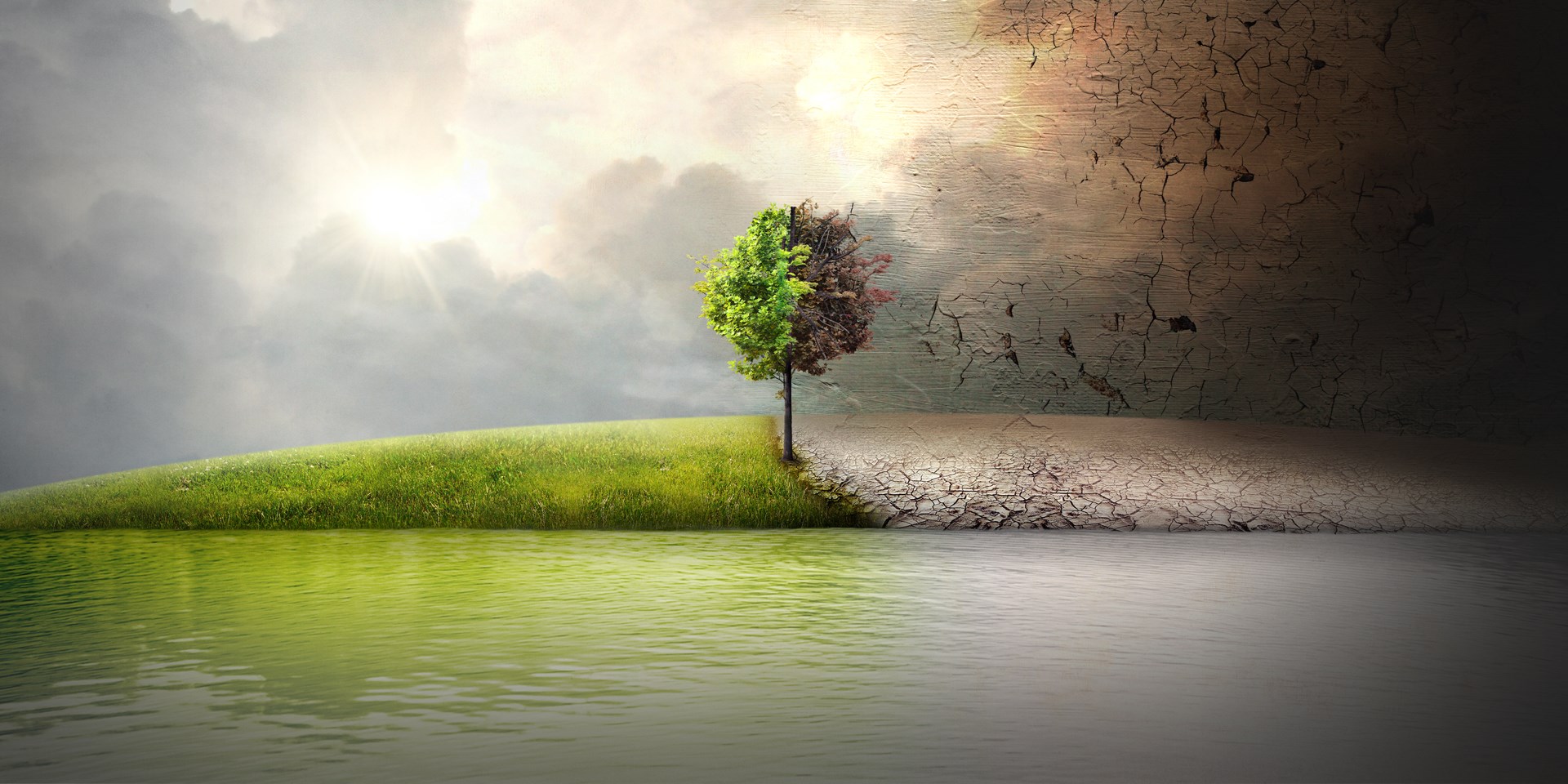 Le film complet «Avant le déluge» de Leonardo DiCaprio est disponible ...